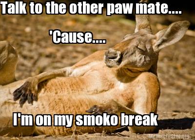 Smoko Memes 🥔 Smoko Products Are Now At Our Stores! Take A Look At