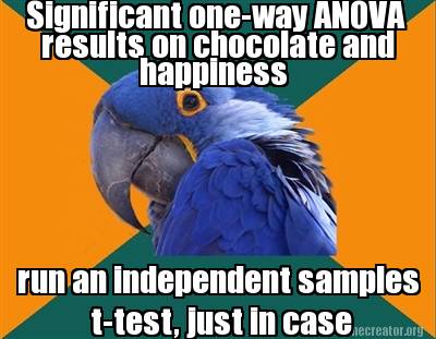 Parrot Chocolate Memes