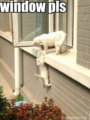 Meme Creator - Funny window pls Meme Generator at MemeCreator.org!