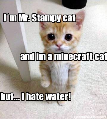 Stampy Memes
