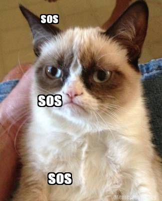 Meme Creator - Funny sos sos sos Meme Generator at MemeCreator.org!