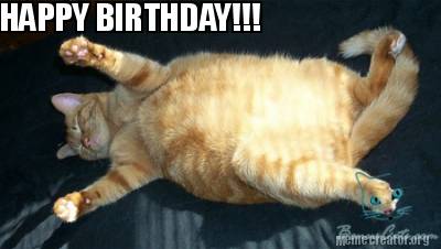 Happy Birthday Fat Cat Memes