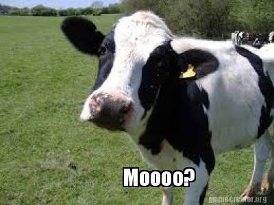 Meme Creator - Funny Moooo? Meme Generator at MemeCreator.org!