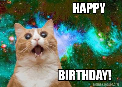 Happy Birthday Fat Cat Memes