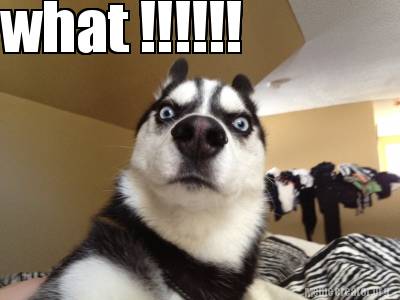 Meme Creator - Funny what !!!!!! Meme Generator at MemeCreator.org!