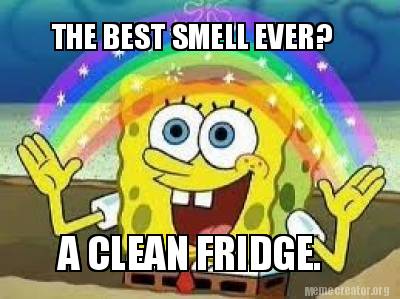 Smelly Fridge Memes