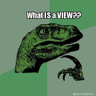 Meme Creator - Funny What IS a VIEW?? Meme Generator at MemeCreator.org!
