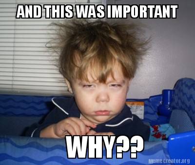 Meme Creator - Funny AND THIS WAS IMPORTANT WHY?? Meme Generator at ...