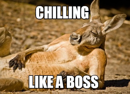 Chillin Like A Boss Meme