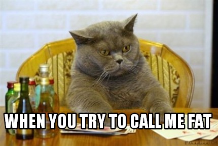Meme Creator - Funny When you try to call me fat Meme Generator at ...