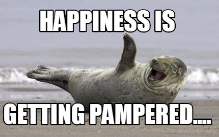 Meme Creator - Funny Happiness is Getting Pampered.... Meme Generator ...