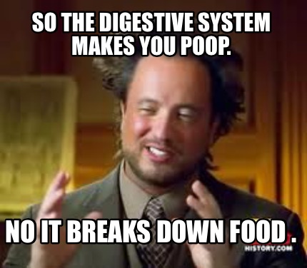 Digestive Systems Memes Digestion Memes And Images Imgur