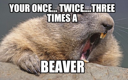 Oregon State Beaver Memes