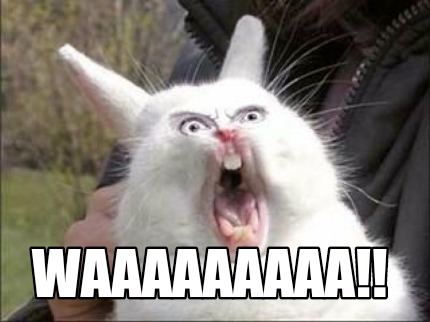 Meme Creator - Funny Waaaaaaaaa!! Meme Generator at MemeCreator.org!
