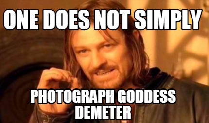 Meme Creator - Funny one does not simply photograph goddess demeter ...