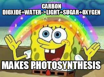 Meme Creator - Funny carbon dioxide+water->light+sugar+oxygen makes ...