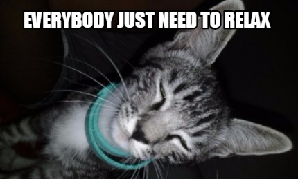 Meme Creator - Funny everybody just need to relax Meme Generator at ...