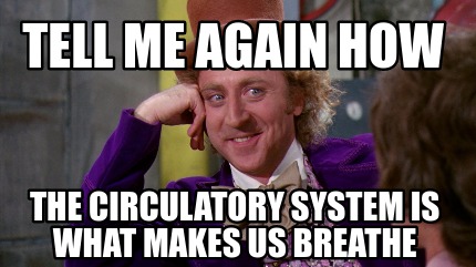 Body System Memes