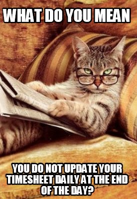 Meme Creator - Funny What do you mean You do not update your timesheet ...