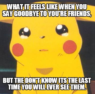 Meme Creator - what it feels like when you say goodbye to you're ...