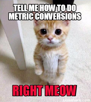 Meme Creator - Funny Tell me how to do metric conversions right meow ...