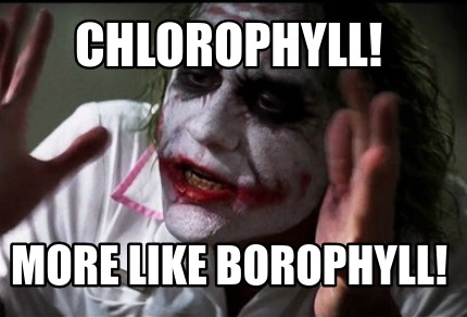 Meme Creator - Funny chlorophyll! more like Borophyll! Meme Generator ...