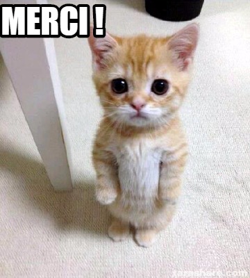 Meme Creator - Funny Merci ! Meme Generator at MemeCreator.org!