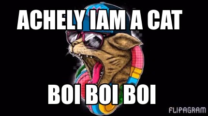 Meme Creator - Funny achely iam a cat boi boi boi Meme Generator at ...