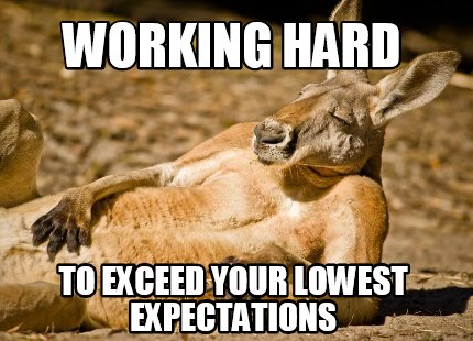 Meme Creator - Funny Working hard to exceed your lowest expectations ...