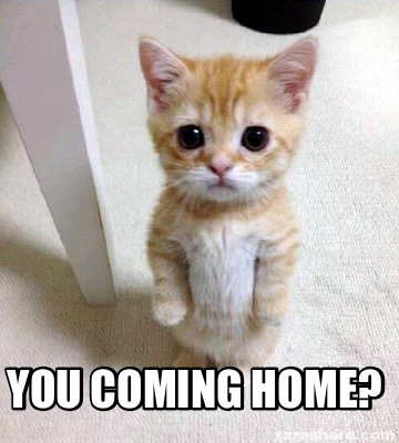 Meme Creator - Funny You coming home? Meme Generator at MemeCreator.org!