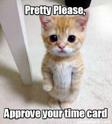 Meme Creator - Funny Pretty Please, Approve your time card Meme ...