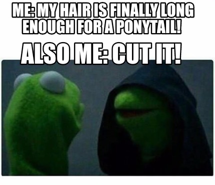 Nnie Mei Project Hairstyle Meme Based On This Ponytail