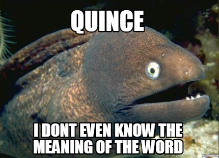 Meme Creator - Funny Quince I dont even know the meaning of the word ...
