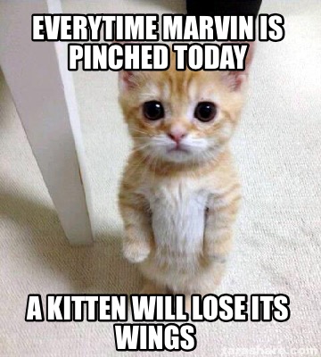 Meme Creator - Funny Everytime Marvin is pinched today A kitten will ...
