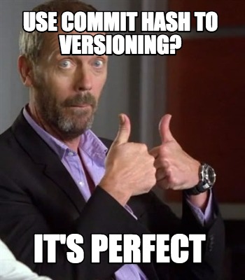 Meme Creator - Funny use commit hash to versioning? it's perfect Meme ...
