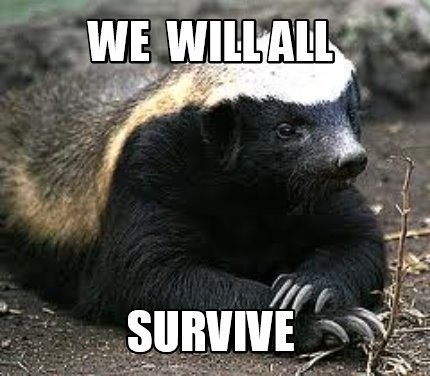 Meme Creator - Funny we will all survive Meme Generator at MemeCreator.org!