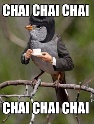 Meme Creator - Funny Chai chai chai Chai chai chai Meme Generator at ...