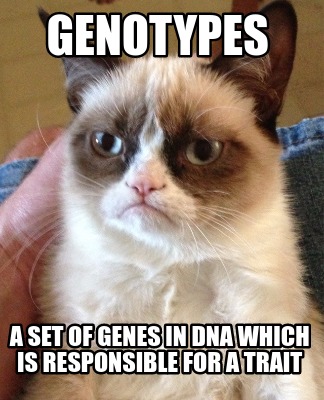 Meme Creator - Funny Genotypes A set of genes in DNA which is ...
