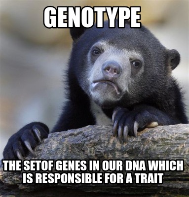Meme Creator - Funny genotype the setof genes in our dna which is ...