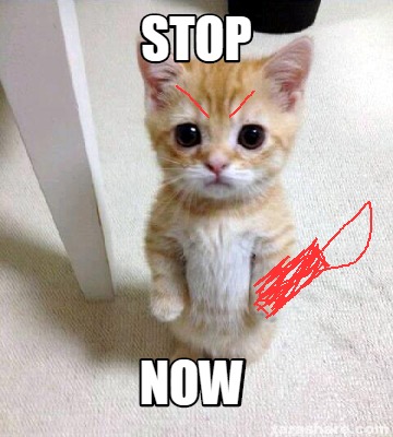 Meme Creator - Funny stop now Meme Generator at MemeCreator.org!