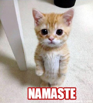 Meme Creator - Funny namaste Meme Generator at MemeCreator.org!