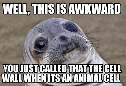 Animal Cell Memes Dogs Running On Empty Brain Cells 🤣🐶 NEW Funny