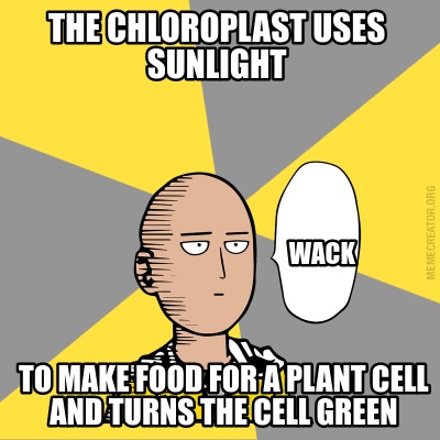Meme Creator - Funny the chloroplast uses sunlight wa wack to make food ...