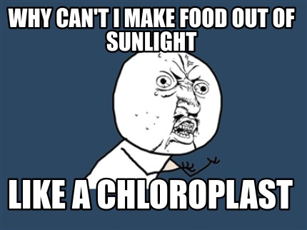 Meme Creator - Funny why can't i make food out of sunlight like a ...
