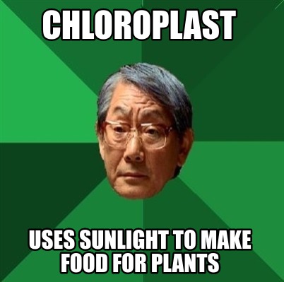 Meme Creator - Funny Chloroplast uses sunlight to make food for plants ...