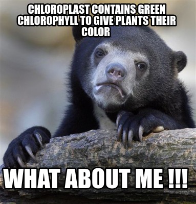 Meme Creator - Funny Chloroplast contains green chlorophyll to give ...