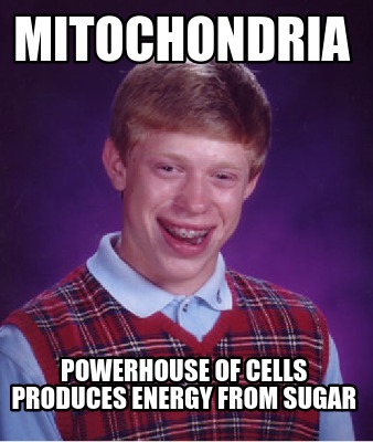 Meme Creator - Funny mitochondria powerhouse of cells produces energy ...