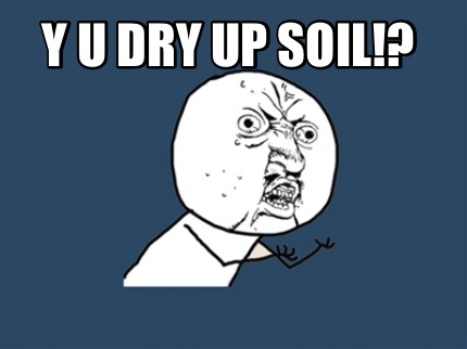 Meme Creator - Funny Y U dry up soil!? Meme Generator at MemeCreator.org!