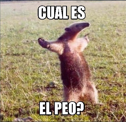 Meme Creator - Funny Cual es el peo? Meme Generator at MemeCreator.org!