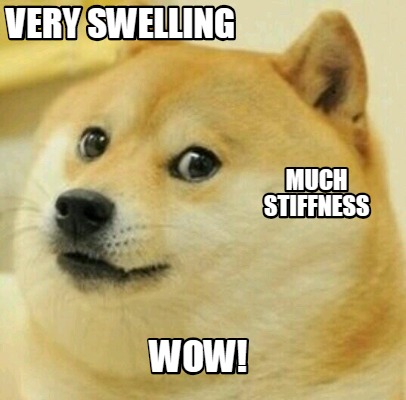 Meme Creator - Funny very swelling wow! much stiffness Meme Generator ...